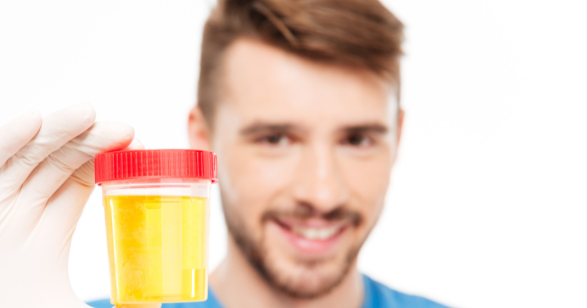 DOT URINE SPECIMEN COLLECTOR TRAIN THE TRAINER
